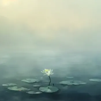 Jazz Festivals Guide | SmoothJazz.com